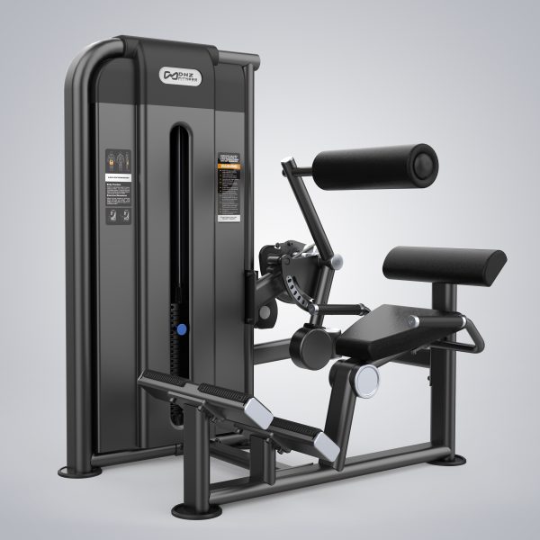Back Extension U2031C - DHZ Fitness Equipment